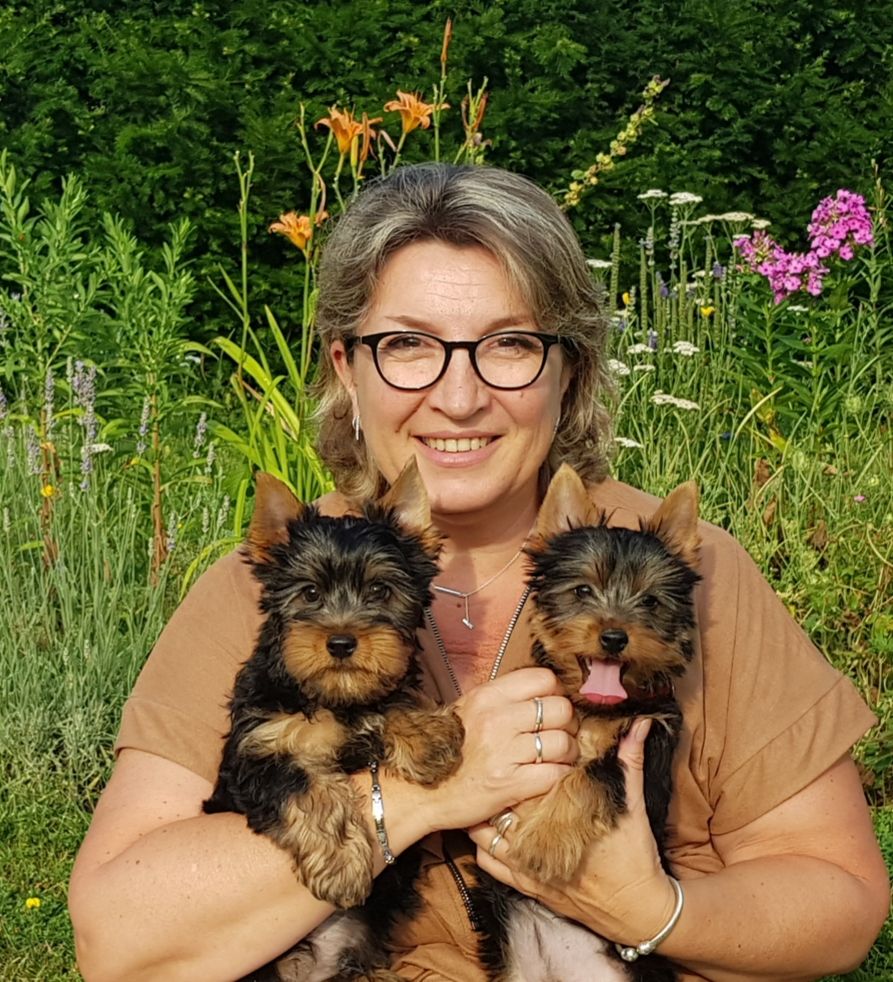 Accueil - Elevage Du domaine de baronniere - eleveur de chiens ...